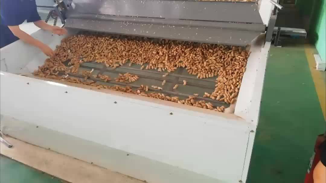 Industrial Fruit And Vegetable Mesh Belt Dryer Continuous Red Chili Pepper Algae Spirulina ...