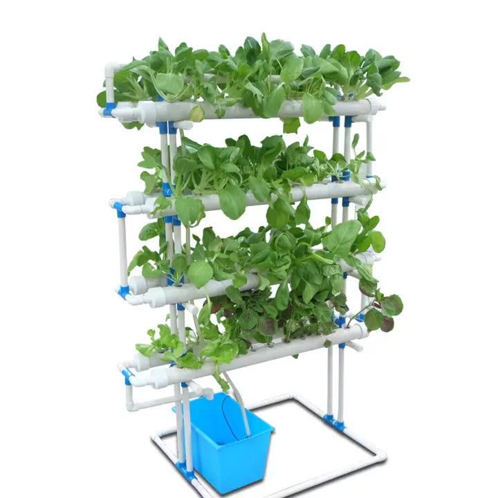 Skyplant Greenhouse Vertical Hydroponic Growing Systems For Lettuce ...