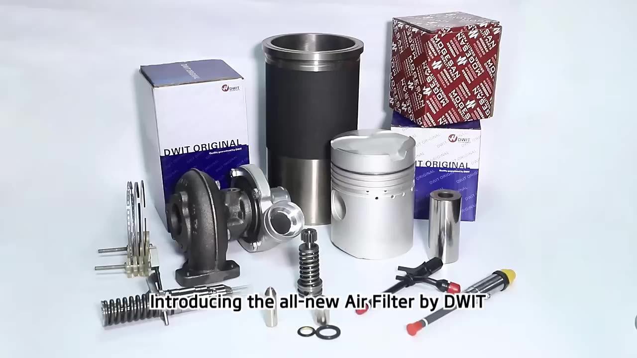 Diesel Fuel Injection Pump Plunger 1w6541 4p9830 9h5797 6n7527 Plunger ...