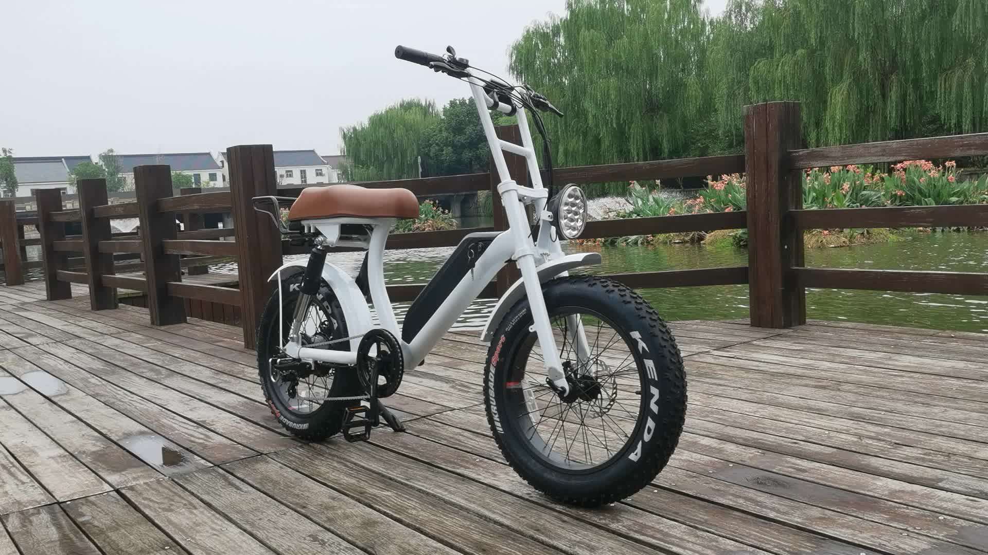 All Wheel Drive Fat Tire Electric Bicycles Electric Bikes Ebike With ...