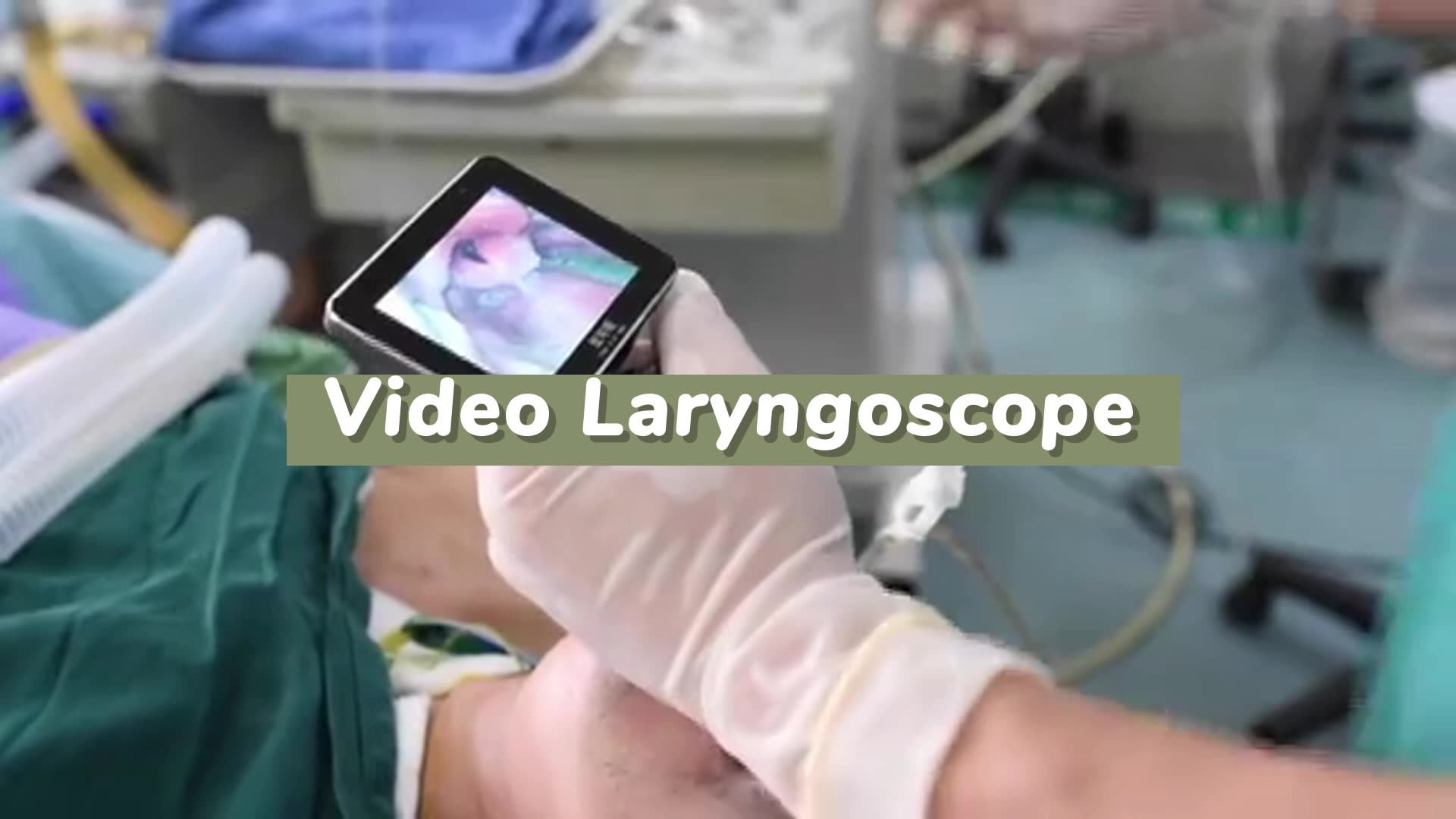 Anesthsia Video Laryngoscope Disposable Laryngoscope Blade Laryngoscope ...