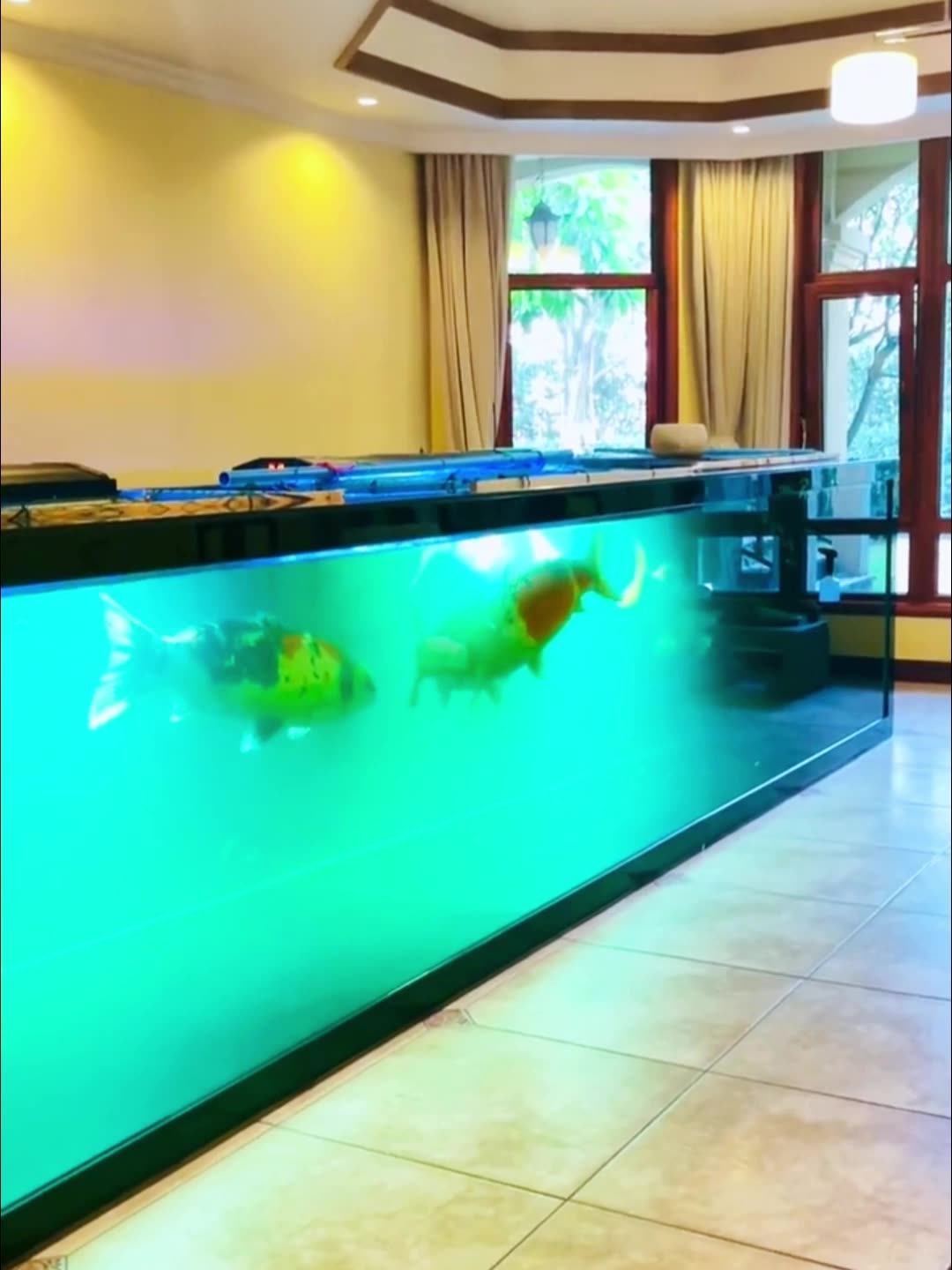 Large Backyard Square Black 200 Gallon Aquaculture Tank Fish Farming ...