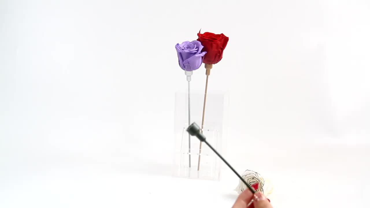 Artificial Rose Stem Floral Holder Plastic Rose Stems For Bloom Fresh ...