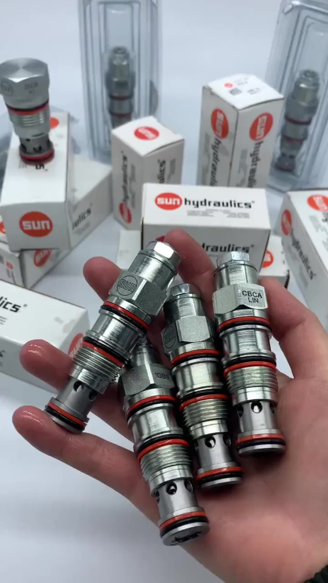 Original Sun Hydraulic Cartridge Valves Rvea-lcn Rvga-lwn Rvca-lan Rvia-lhn Rvba Lhn Hydraulic ...