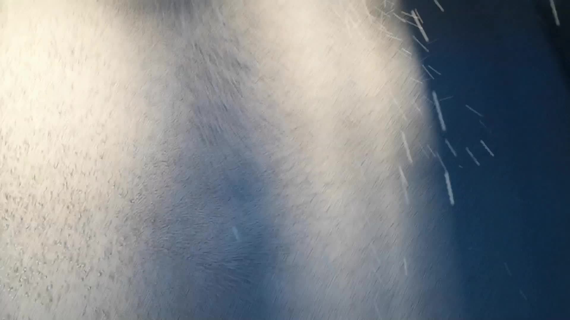 Solex Solid Cooler Npk Cooler Fertilizer Cooler With Pillow Plate Heat ...