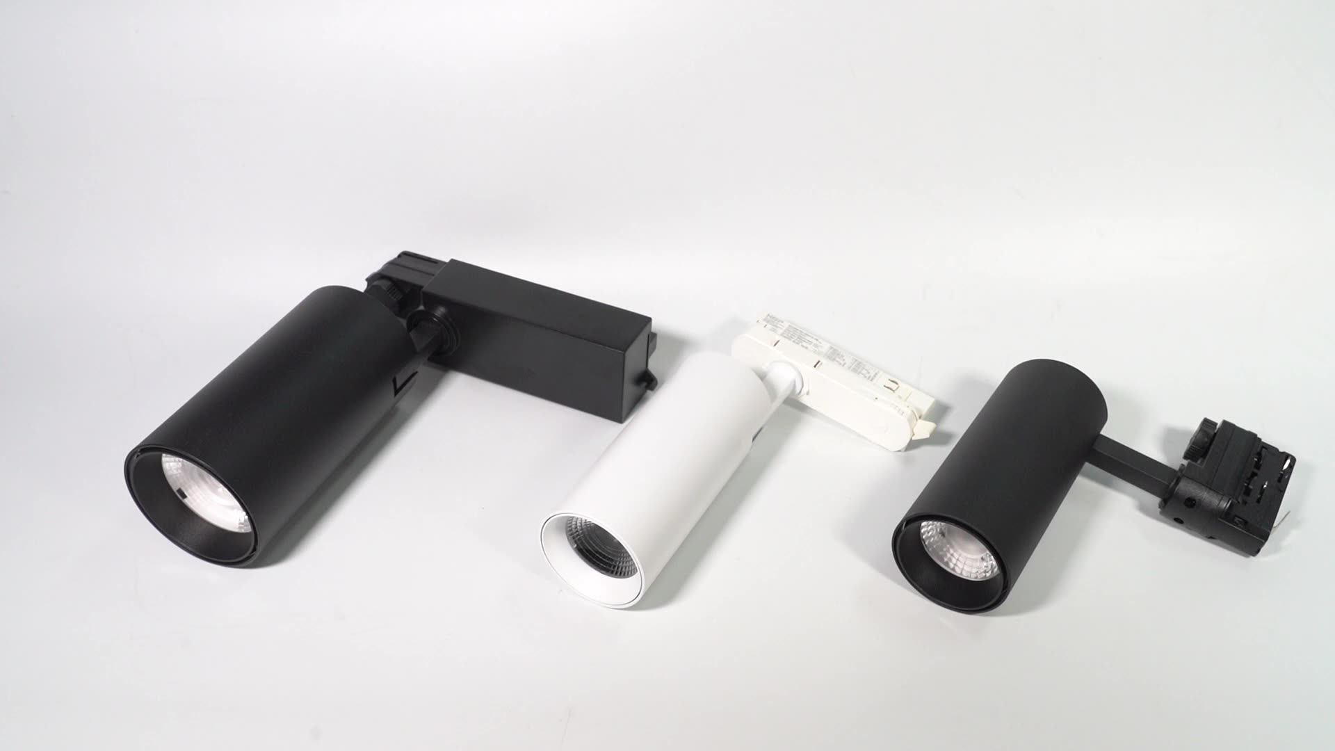 Gypsum Ceiling Recessed Track Light 3w 5w 7w 10w 15w 20w 30w Cob Spot ...