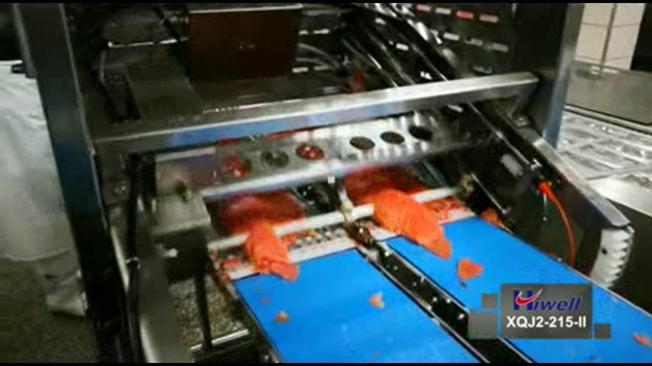 Automatic Chicken Breast And Smoked Salmon Fish Meat Multi Angle Slicer ...