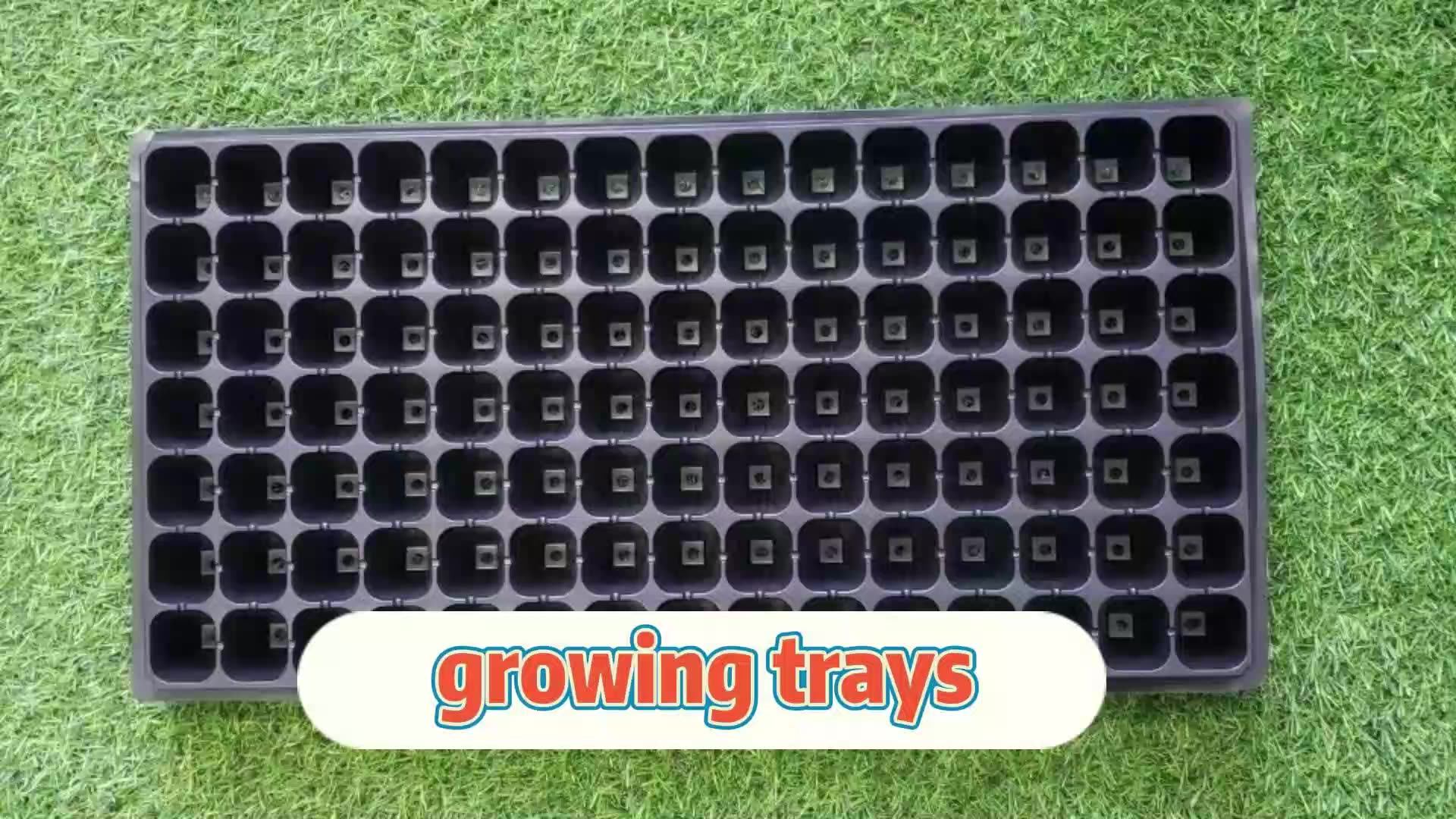 Plant Growing Seedling Tray 200 Cell Vegetable Seed Germination Tray ...