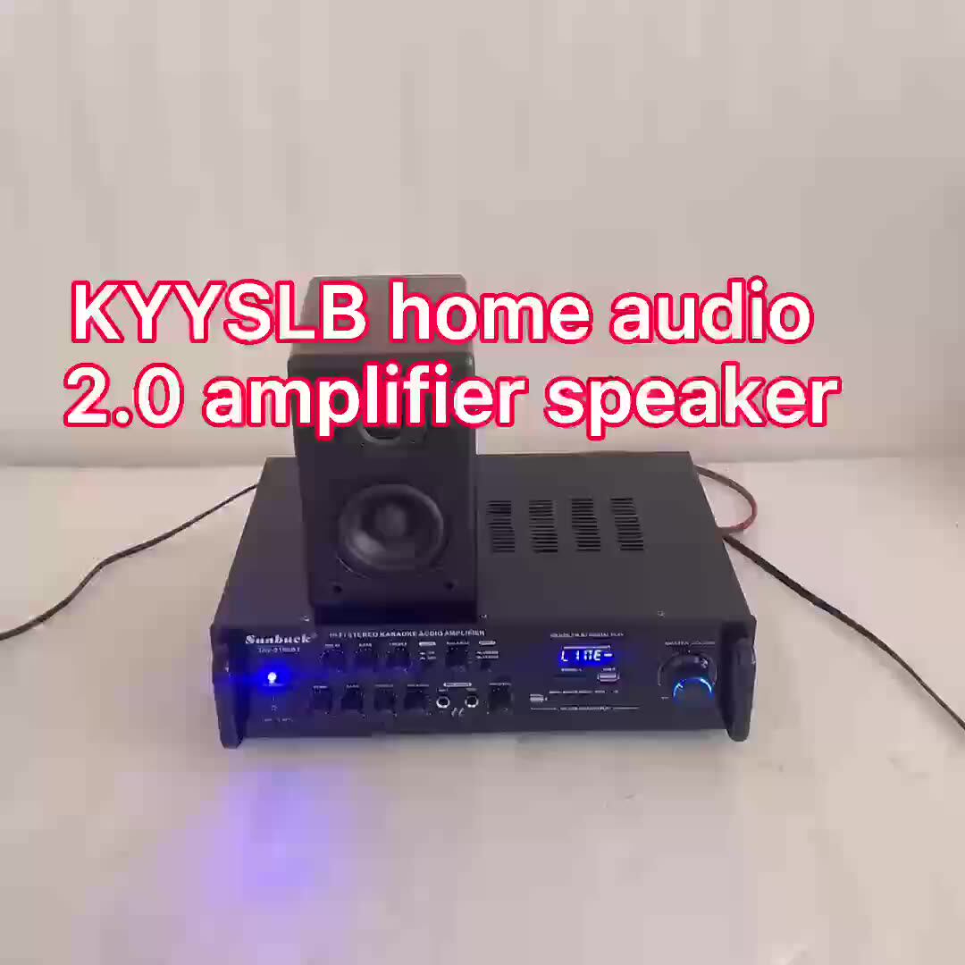 110v 220v Blue-teeth Amplifier Theatre Sound Speaker Amplifier Karaoke ...
