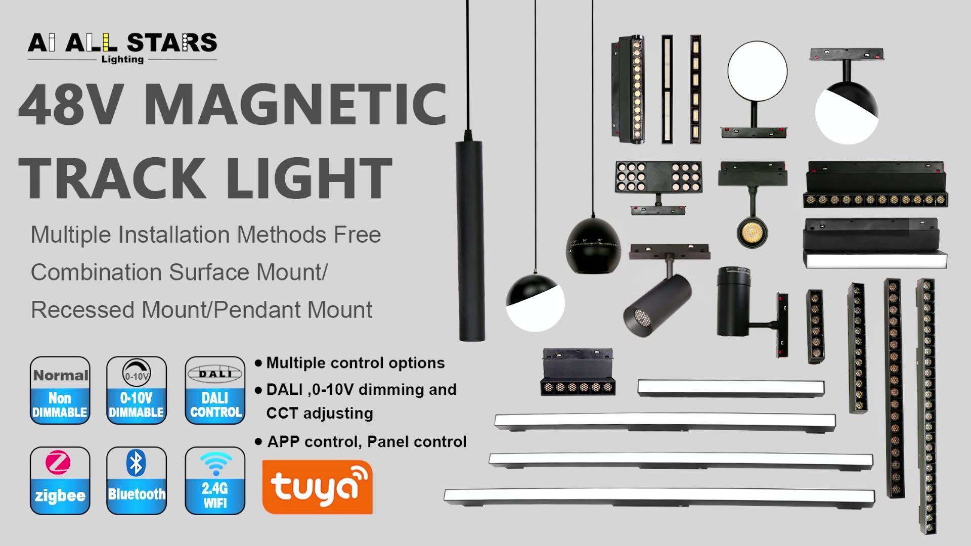 Dc48v Linear Spotlight Ceiling Surface Recessed Hanging Magnet Track ...