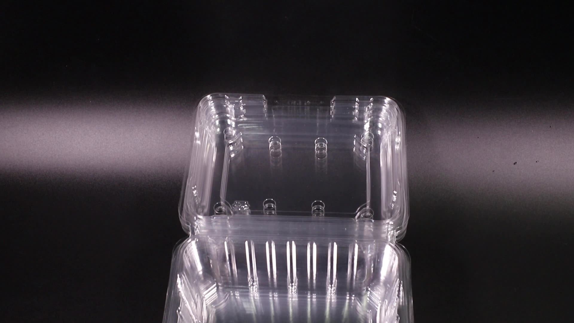 Fruit Box Container 500g Disposable Food Pet Transparent Customized Bt ...