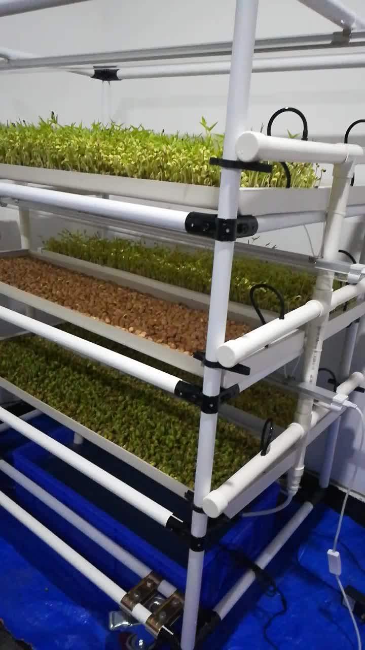 2021 Hydroponic Trays Rack Microgreen Growing System With Led Light For ...