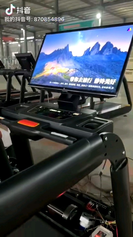 Body Shape Exercise Machine Flex Fitness Equipment Commercial ...