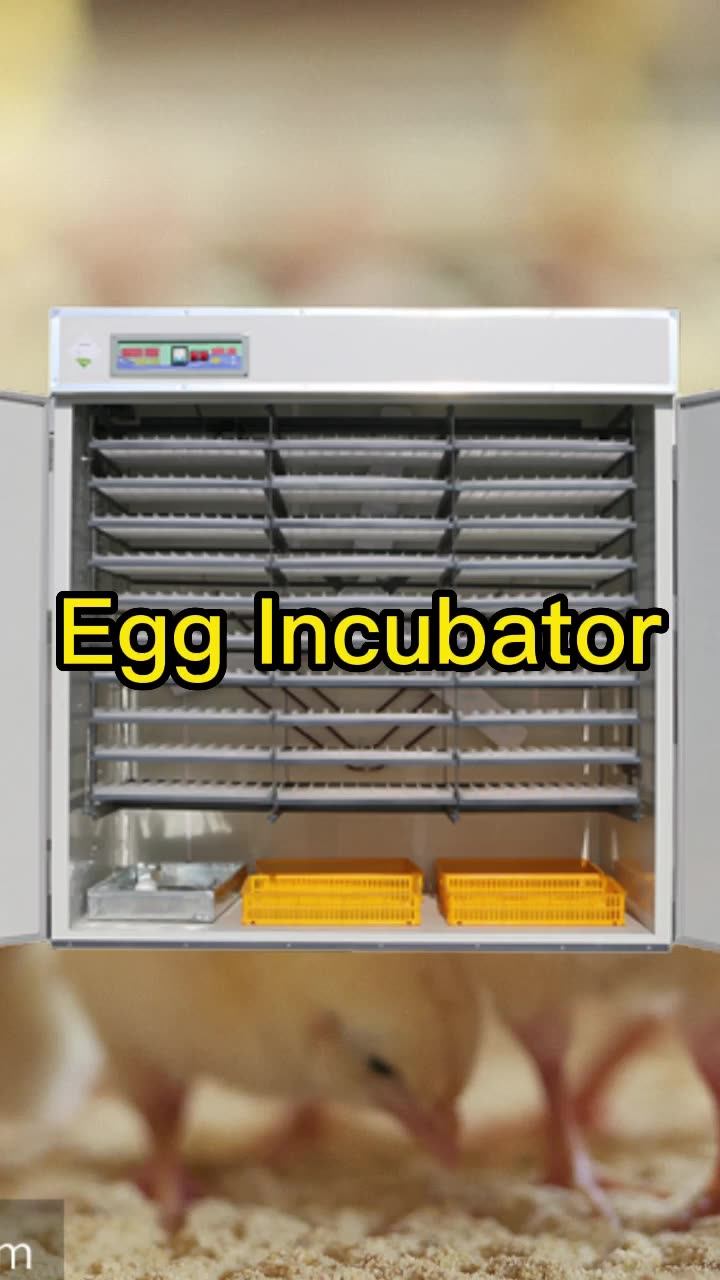 Automatic Poultry Hatchery Equipment Farm Chicken Duck Goose Eggs ...