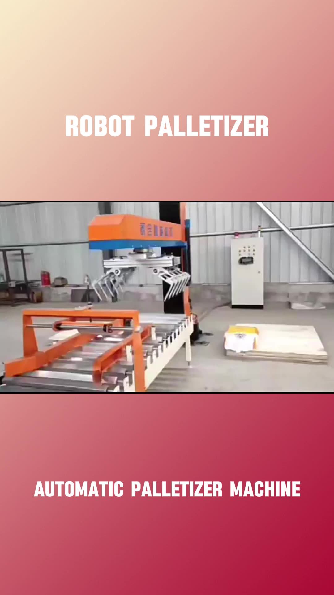 Leadworld Palletizer Depalletizer Automatic Cement Bag Vertical Column ...