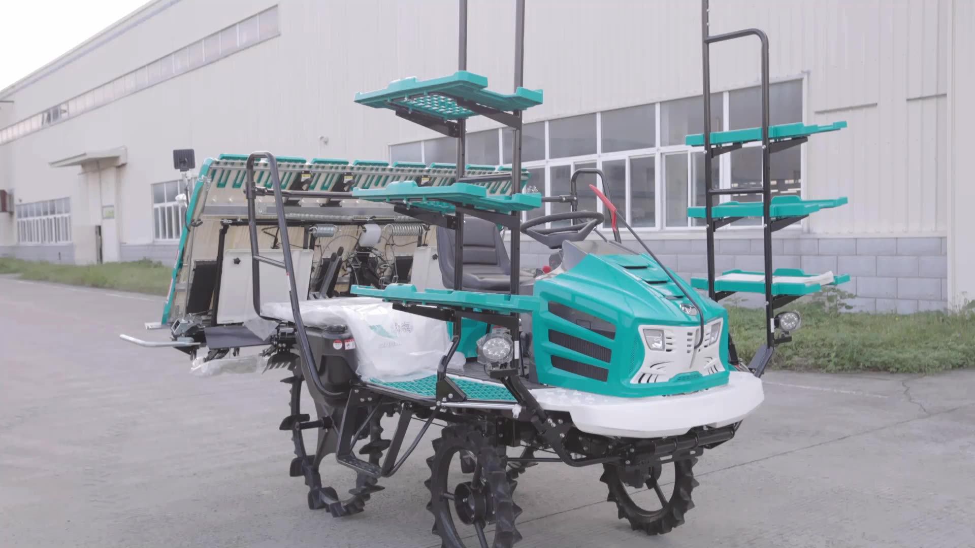 8 Rows Walking Rice Paddy Rice Planting Machine Automatic Operated ...