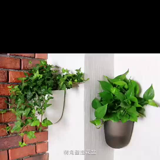 Corner Biodegradable Indoor Plastic Hanging Wall Planter - Buy Hanging ...