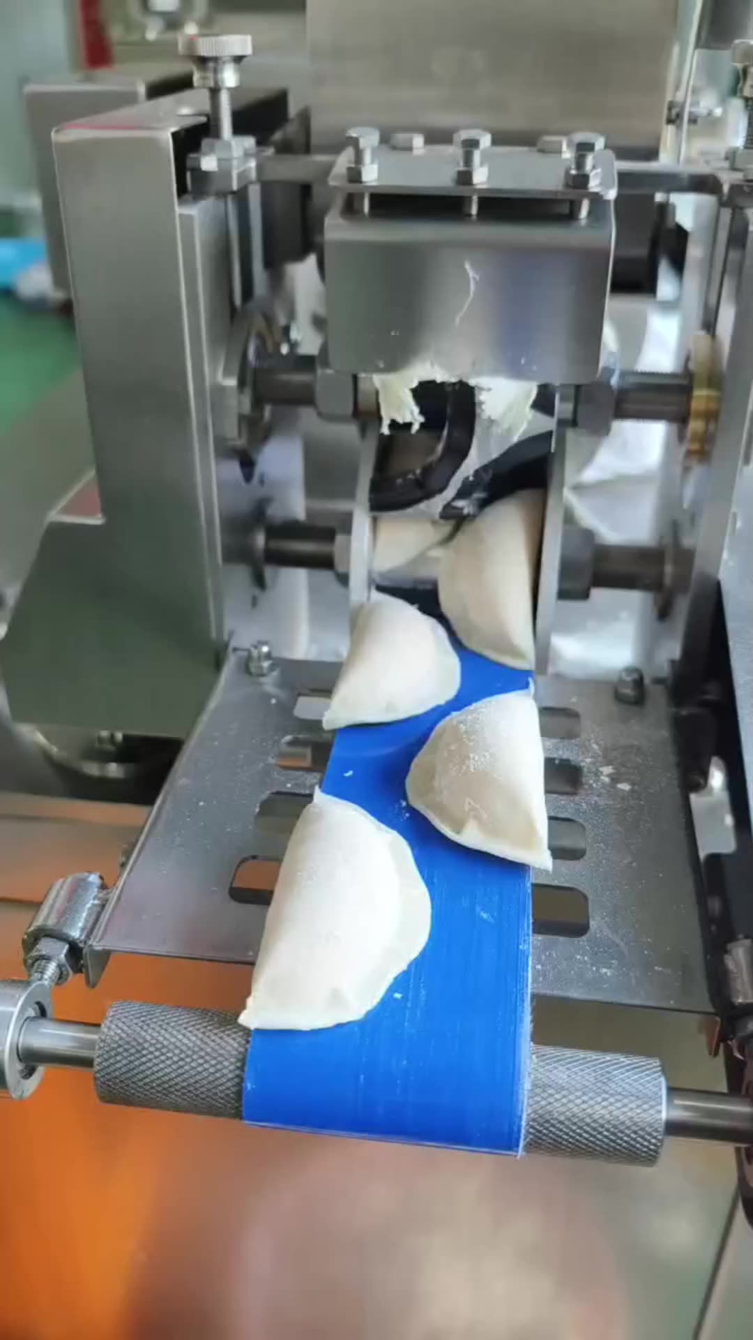 Manufacturers Fully Automatic Dim Sum Steamed Bun Dumpling Machine - Buy Multi-grain Dumpling ...