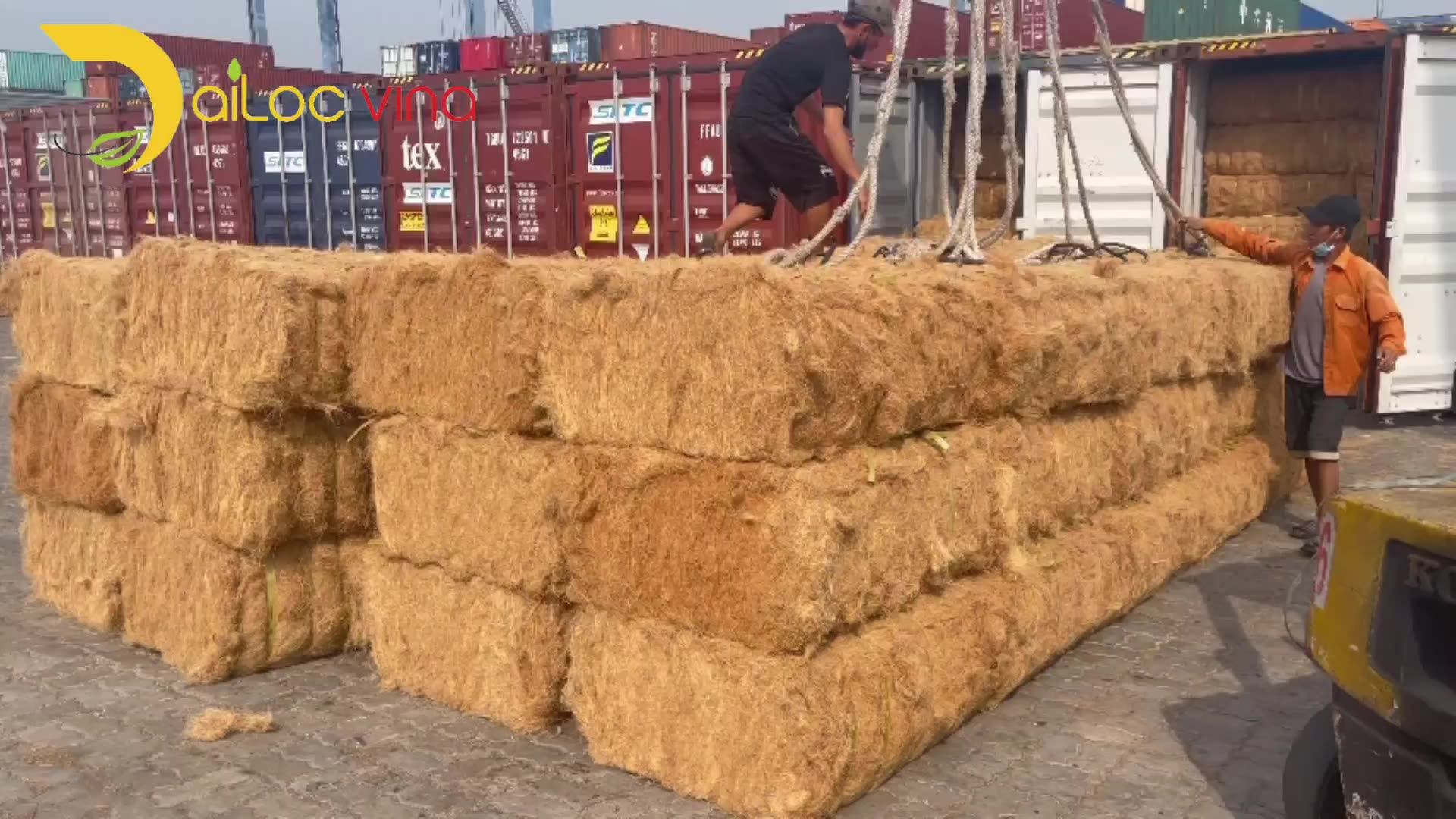 Vietnam Coconut Fiber For Sales - Coco Fiber With Best Price - Buy ...