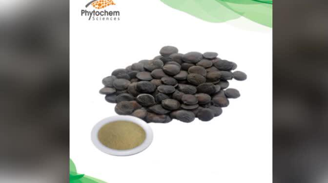 Nutrition 5 Htp Griffonia Seed Extract Griffonia Simplicifolia 5-htp ...