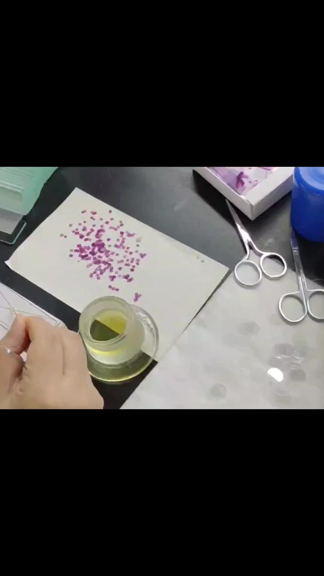 100pcs Human Microphotograph Histology Prepared Slides Set Specimens ...