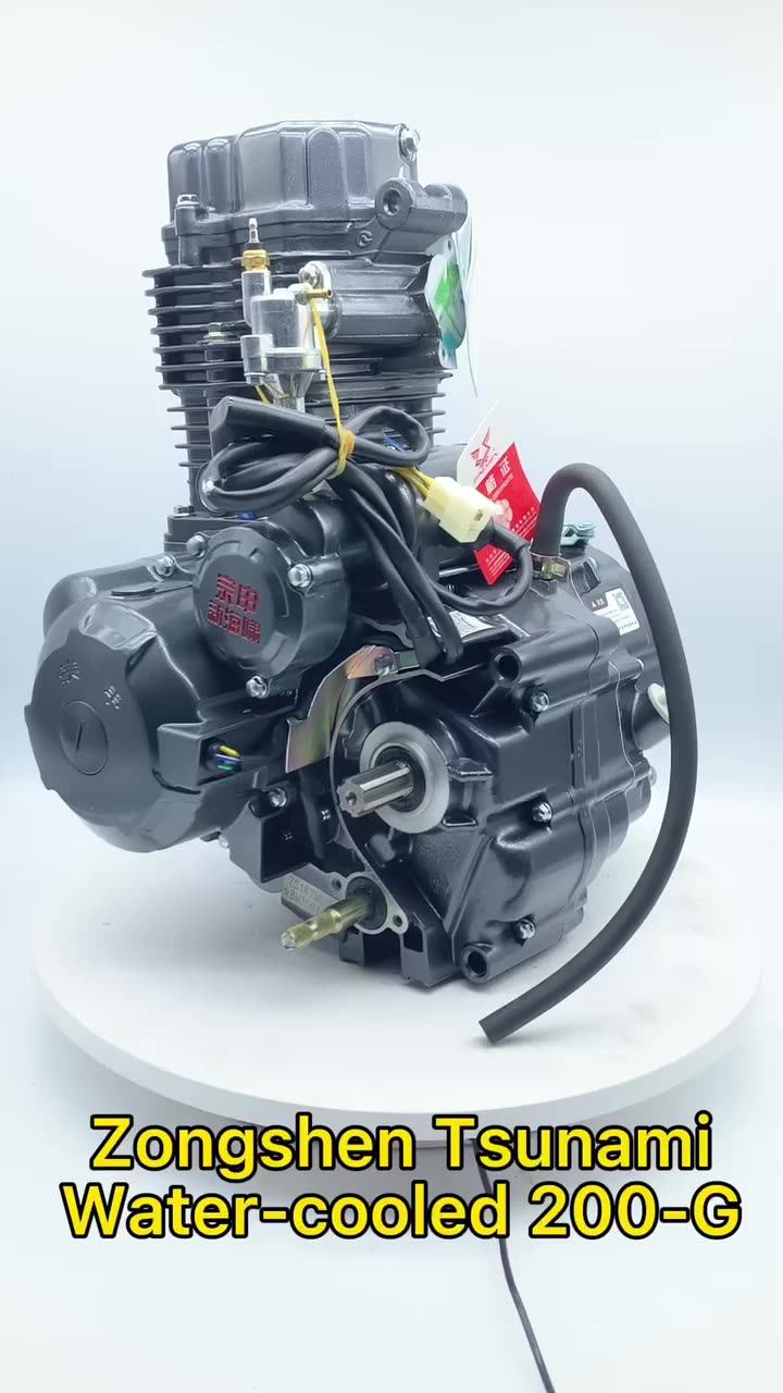 Zongshen 200cc Motorcycle Engine Cg200-g Motor De 4 Tiempos Cg200 Water ...