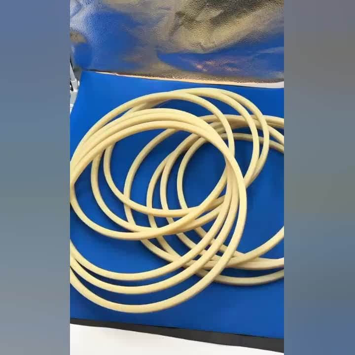 Round Plastic Nylon Ring Large Diameter Plastic Sealing Ring Abs ...