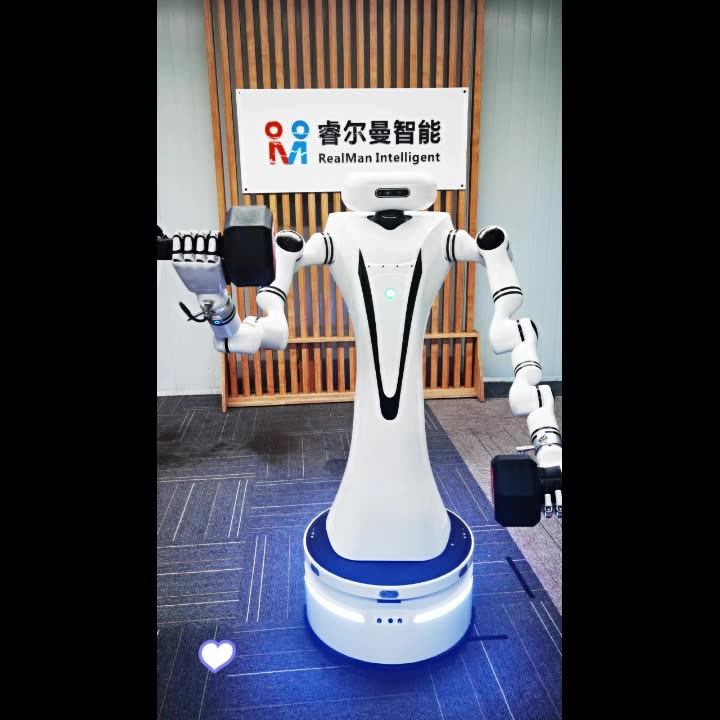 Realman Two Arm Compound Robot Humanoid Collaborative Robot With Agv ...