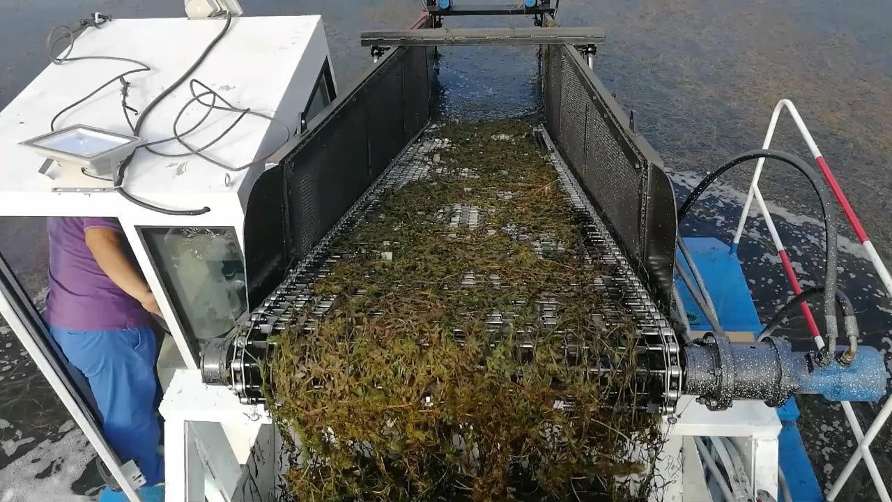 Keda Trash Skimmer Boat Weed Skimmer Ships & Boats Olive Picking ...