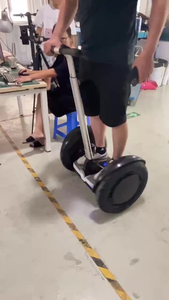 Eswing 2024 Two Wheels Self-balancing Electric Scooter City Tires ...