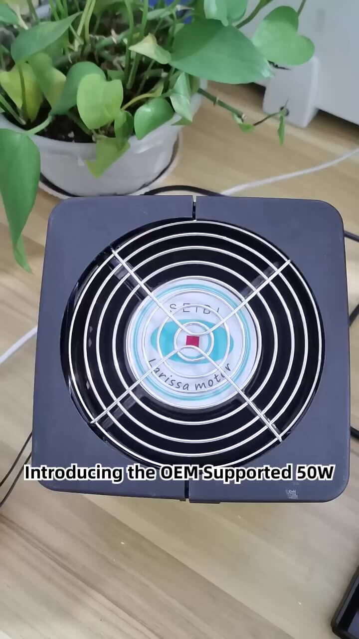 Oem Supported 50w Airdancer Table Top Blower 110v/220v Ac Electric ...