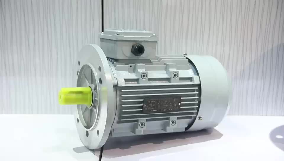 Ms Series Moteurs Electriques Easy Maintained Electric 3phase Electric ...