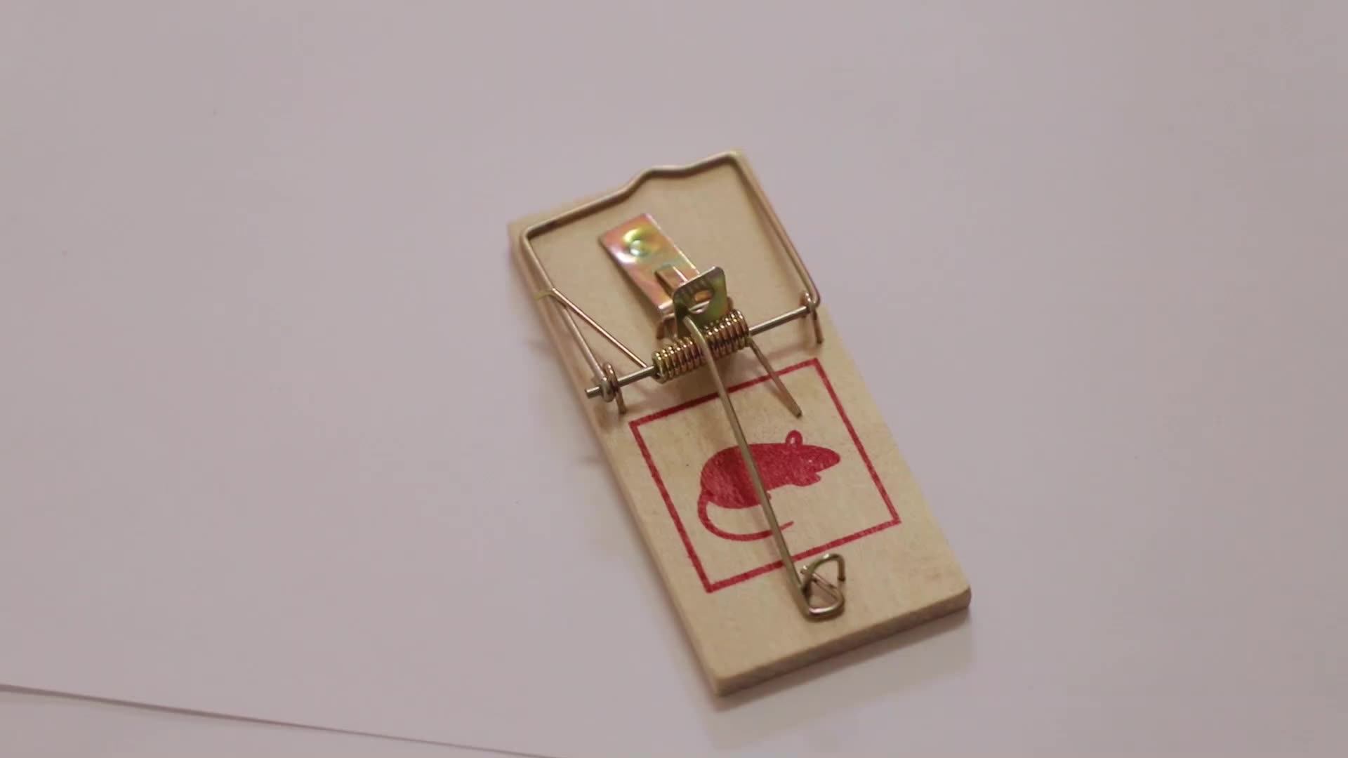 Custom Logo Industrial Wooden Mouse Spring For Rat Trap Large Mice ...