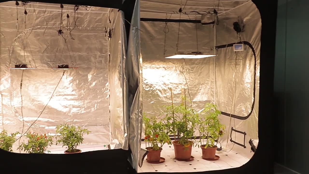 Sunplus 2x2 3x3 4x4 4x8 5x5 Ft Indoor Full Grow Kits Tent With Carbon ...