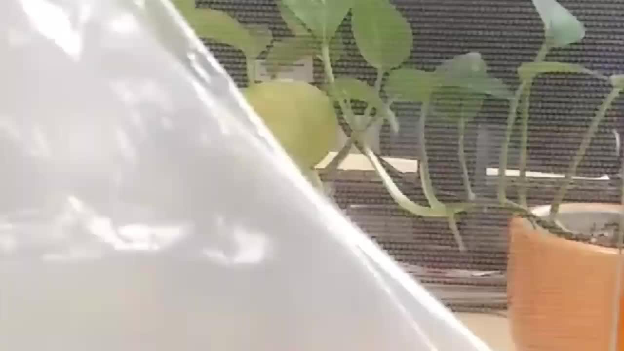 Customized Size 3mm 5mm 6mm Thickness Acrylic Light Guide Panel Light ...