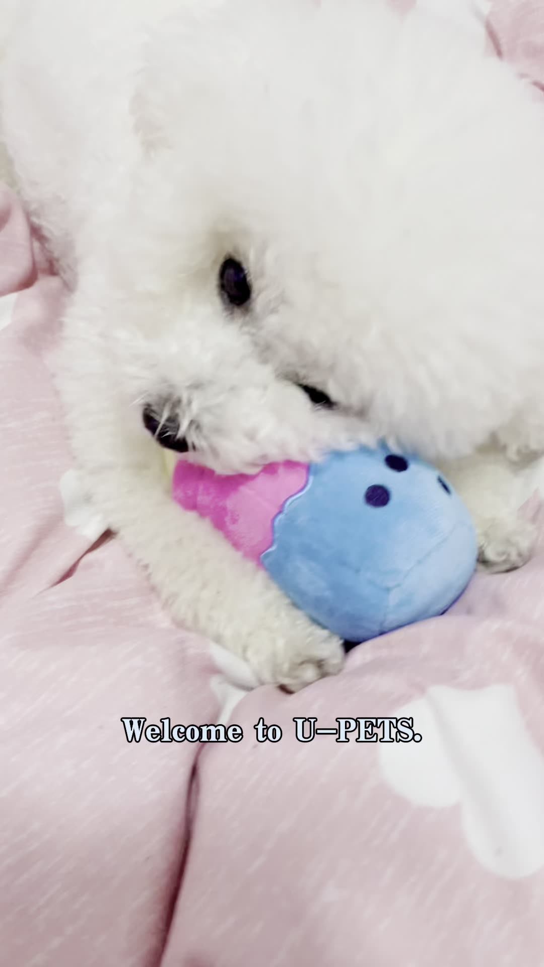 Boba Bubble Tea Shaped Squeaky Plush Dog Toys For Dogs Chewing - Buy ...