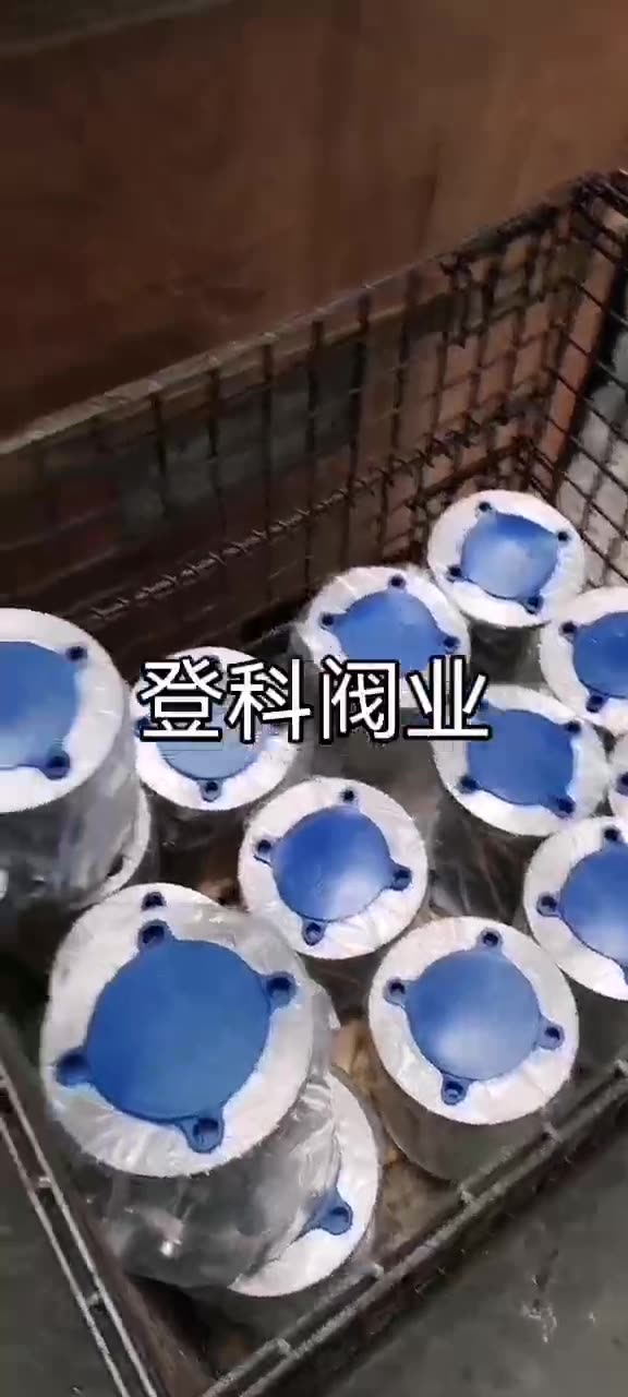 H74X-16P DN250薄型止回阀 304 316L对夹止回阀 软密封逆止阀-阿里巴巴