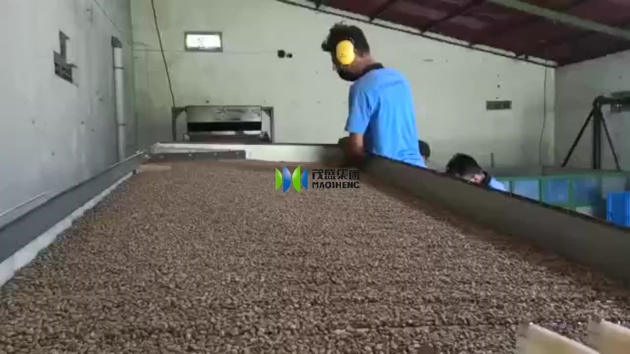 5t Per Hour Complete Cleaning Robusta Coffee Production Line Coffee ...