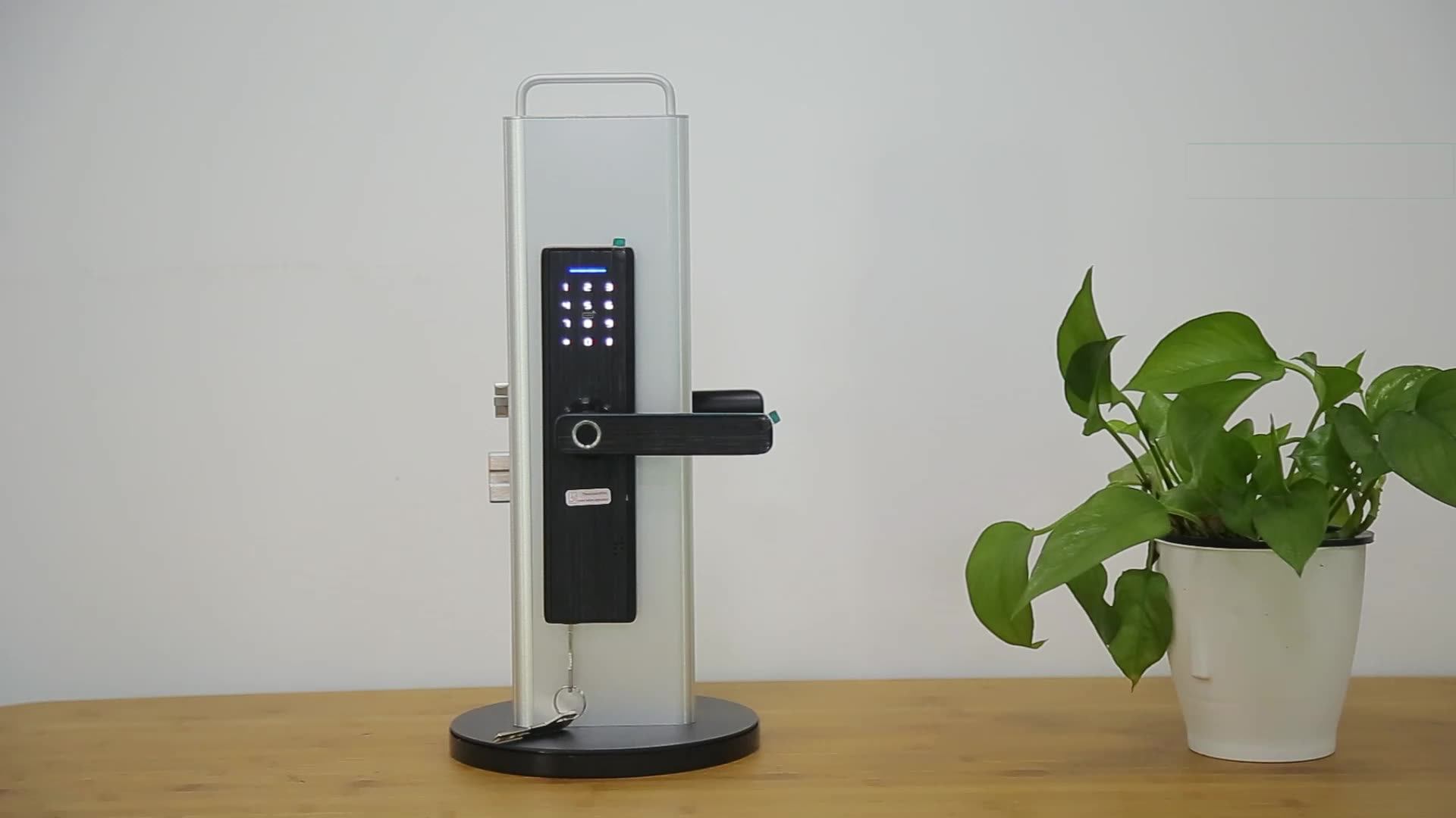 Tuya Smart Fingerprint Door Lock Hot Selling For Hotel And Home Wifi ...