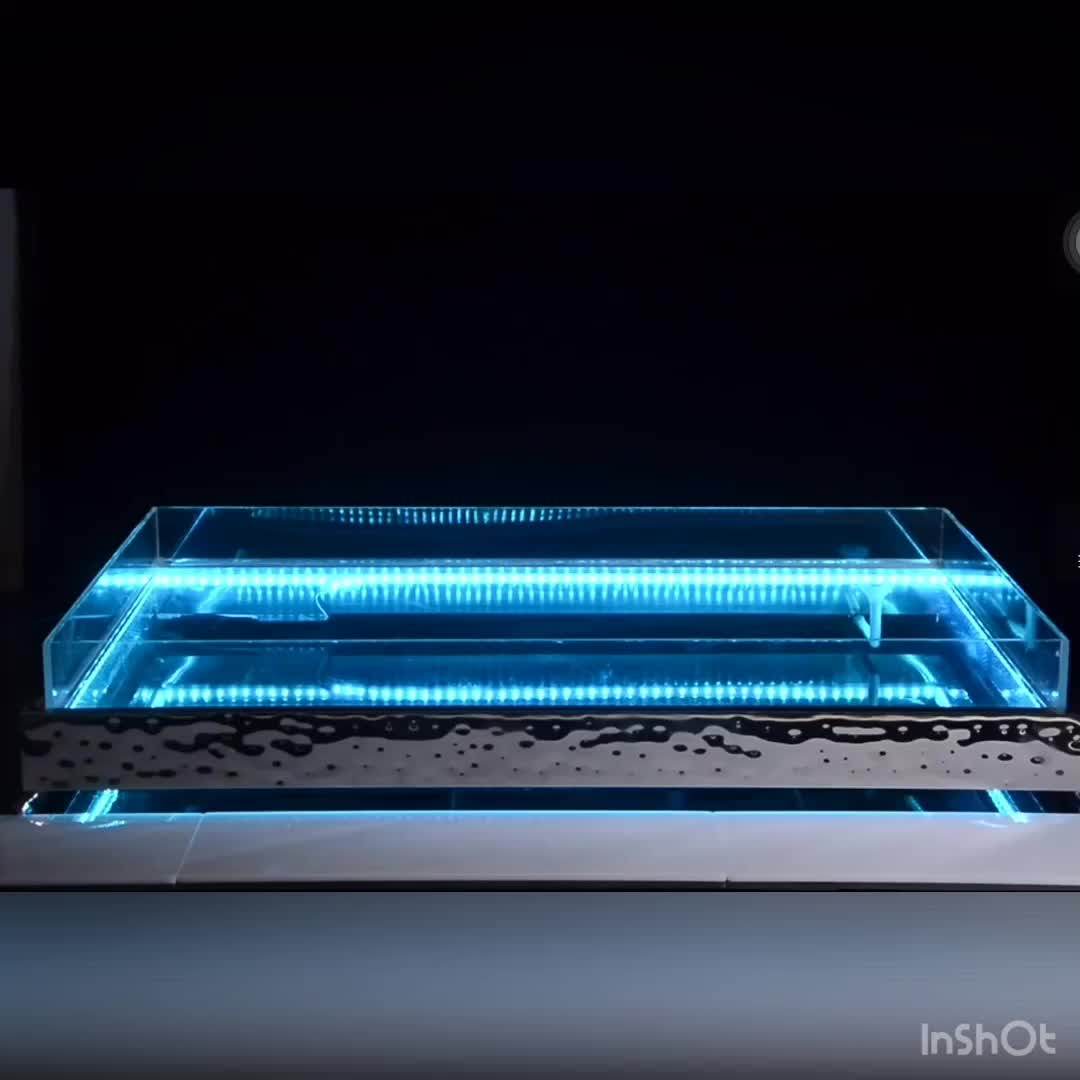 Commercial Banquet Catering Tabletop Fruit Vegetables Ice Seafood ...