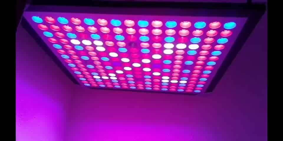 45w Led Square Plant Grow Light For Cultivation Horticulture - Buy Led ...