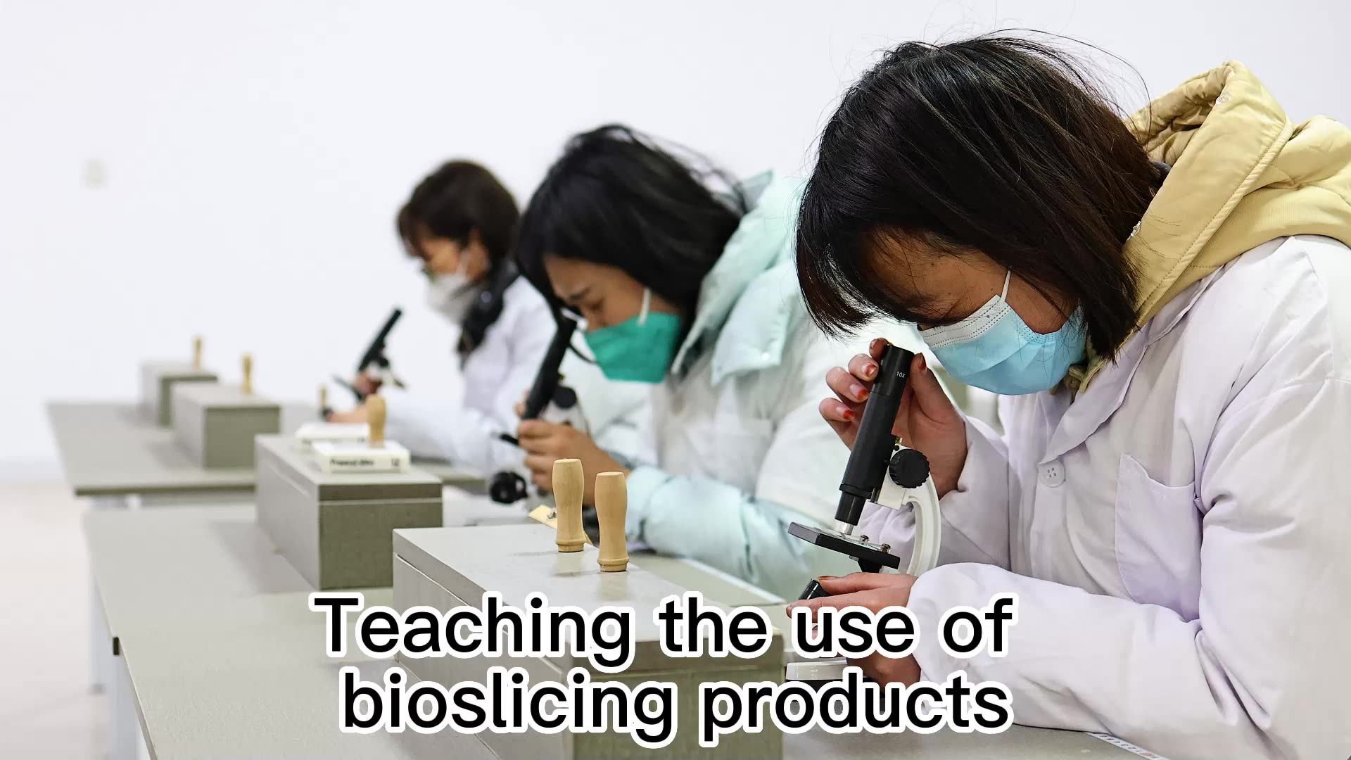 Laboratory Glassware Teaching Microscope Slides Microslides Biology Animal Histology Prepared ...