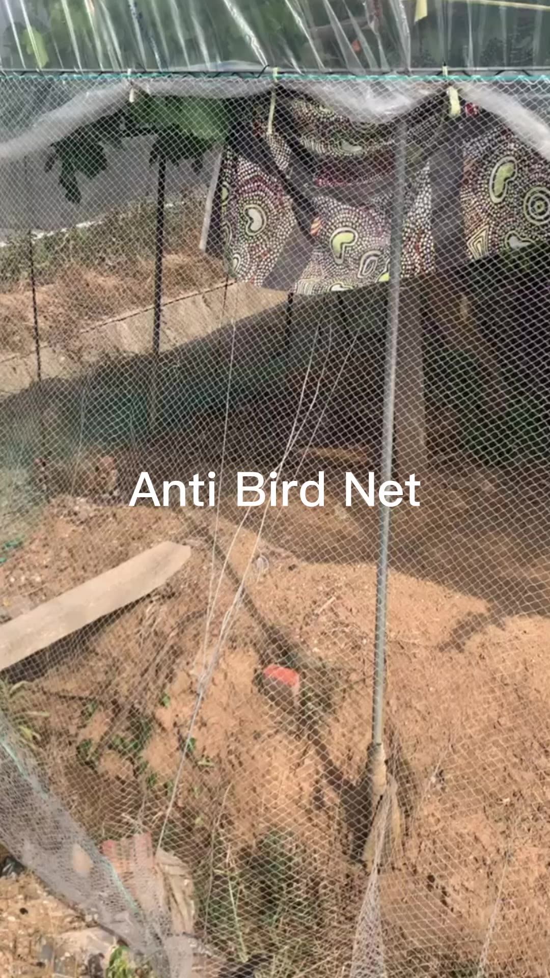 Commercial Invisible Hdpe Material Product Bird Mist Nets Anti Bird Net ...