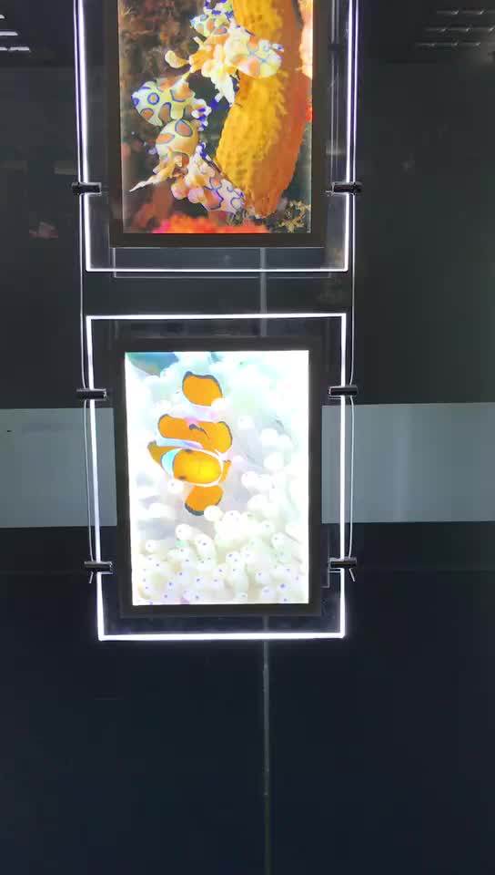Acrylic Illuminated Cable Suspended Real Estate Led Window Display Led ...
