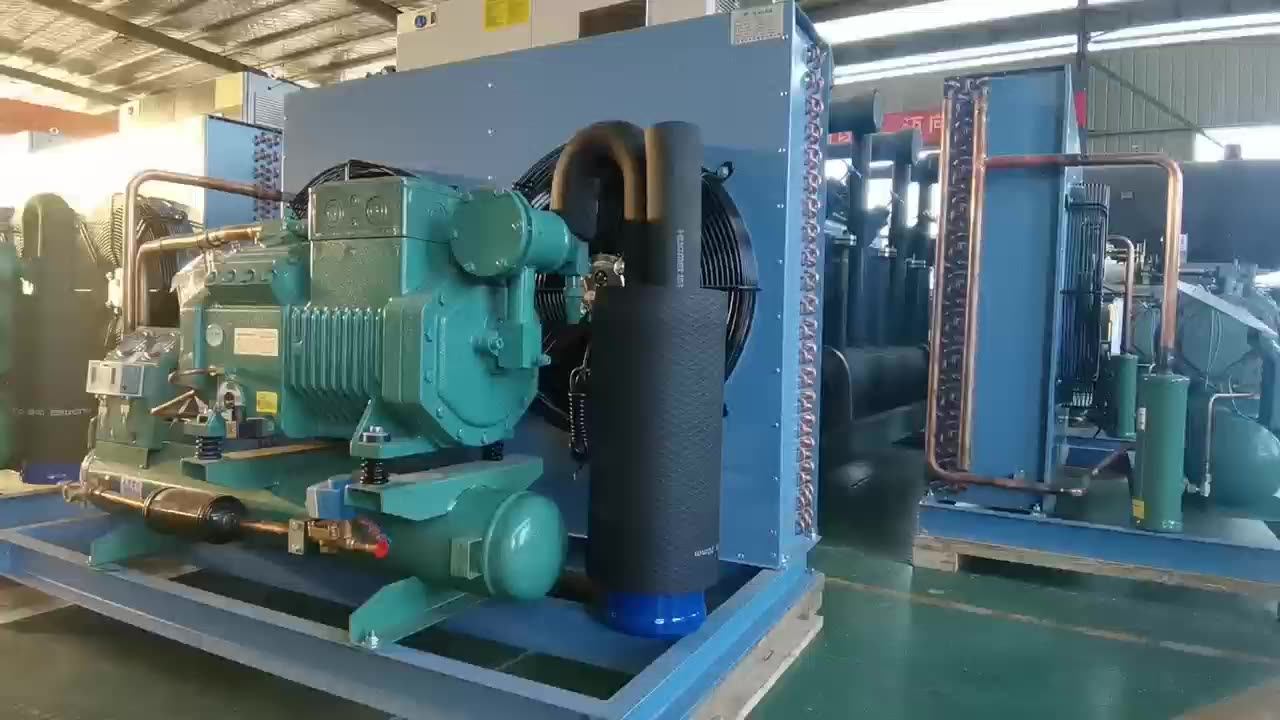 Hot Sale 3hp Air Cooling Bitzer Compressor Condensing Units For -20~-15 ...