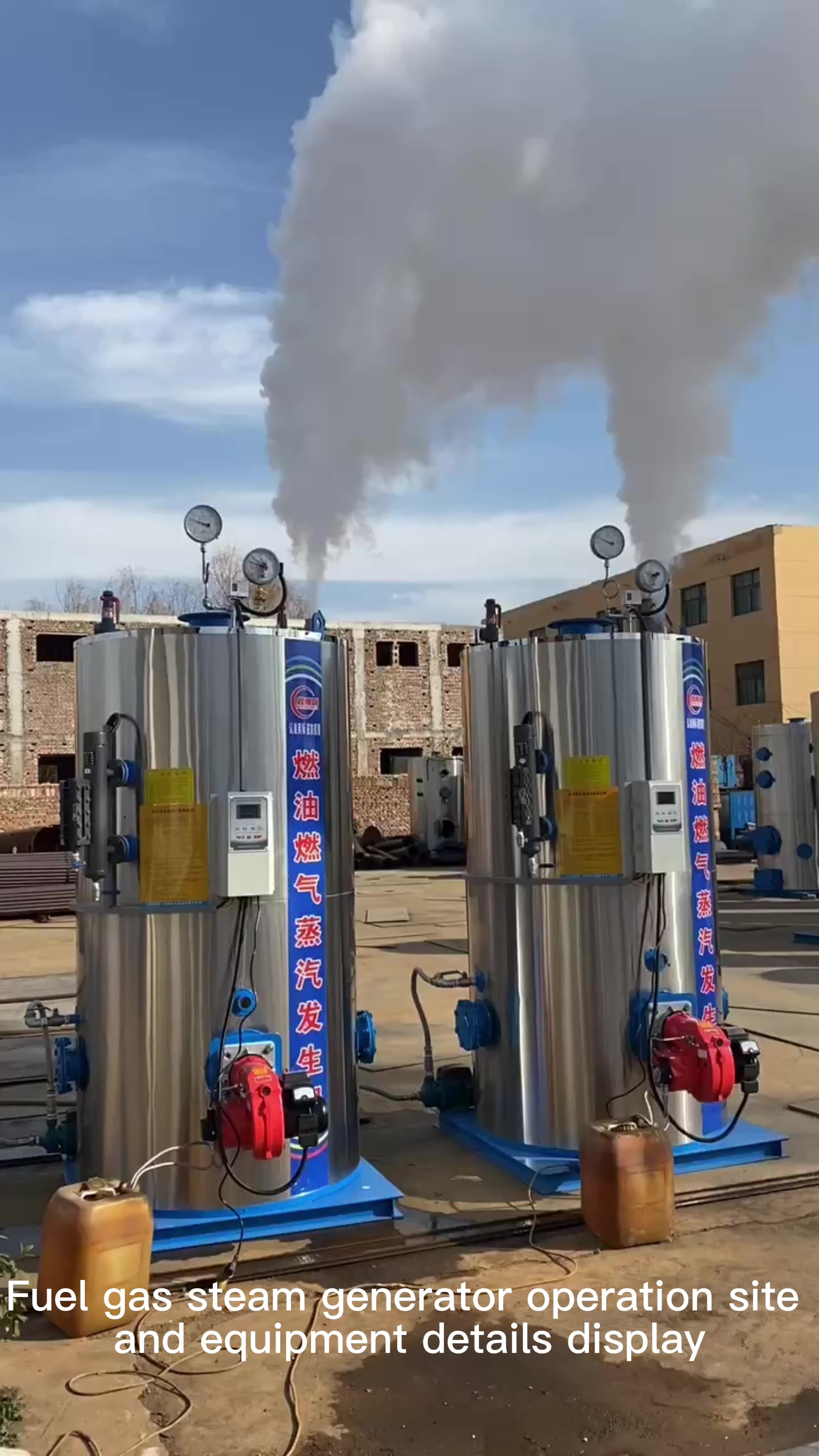 Henan Yuji Boiler Vertical Biogas Natural Gas Steam Generator Boilers ...