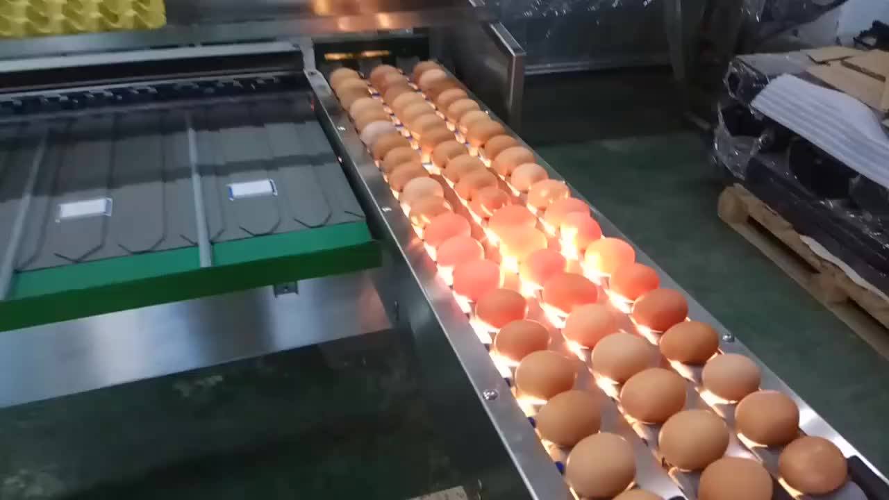 Small Scale Commercial Farm Egg Grader With Printer - Buy Egg Grader ...