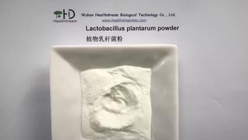 Lactobacillus Plantarum Powder,Probiotics Powder For Digestive Health ...