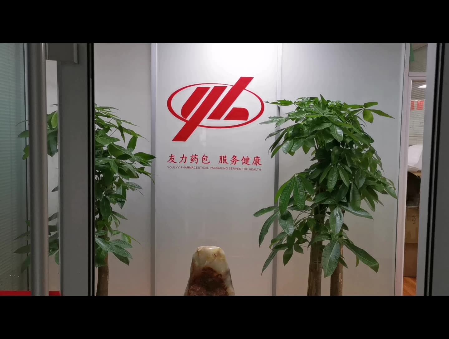 Medical Use 20mm Grey Lyophilization Chlorobutyl Rubber Stoppers - Buy ...