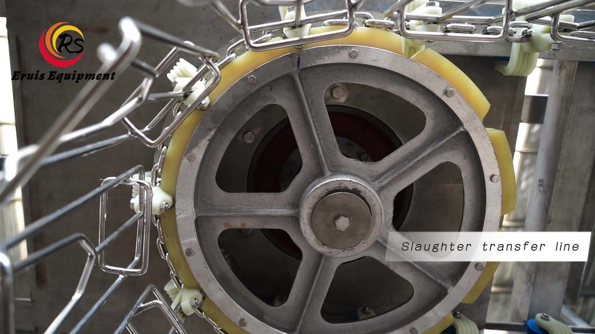 Auto Evisceration Equipment Final Inspection Equipment For Poultry ...